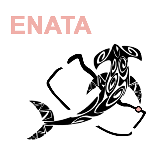 Home [www.enatafakaravadiving.com]